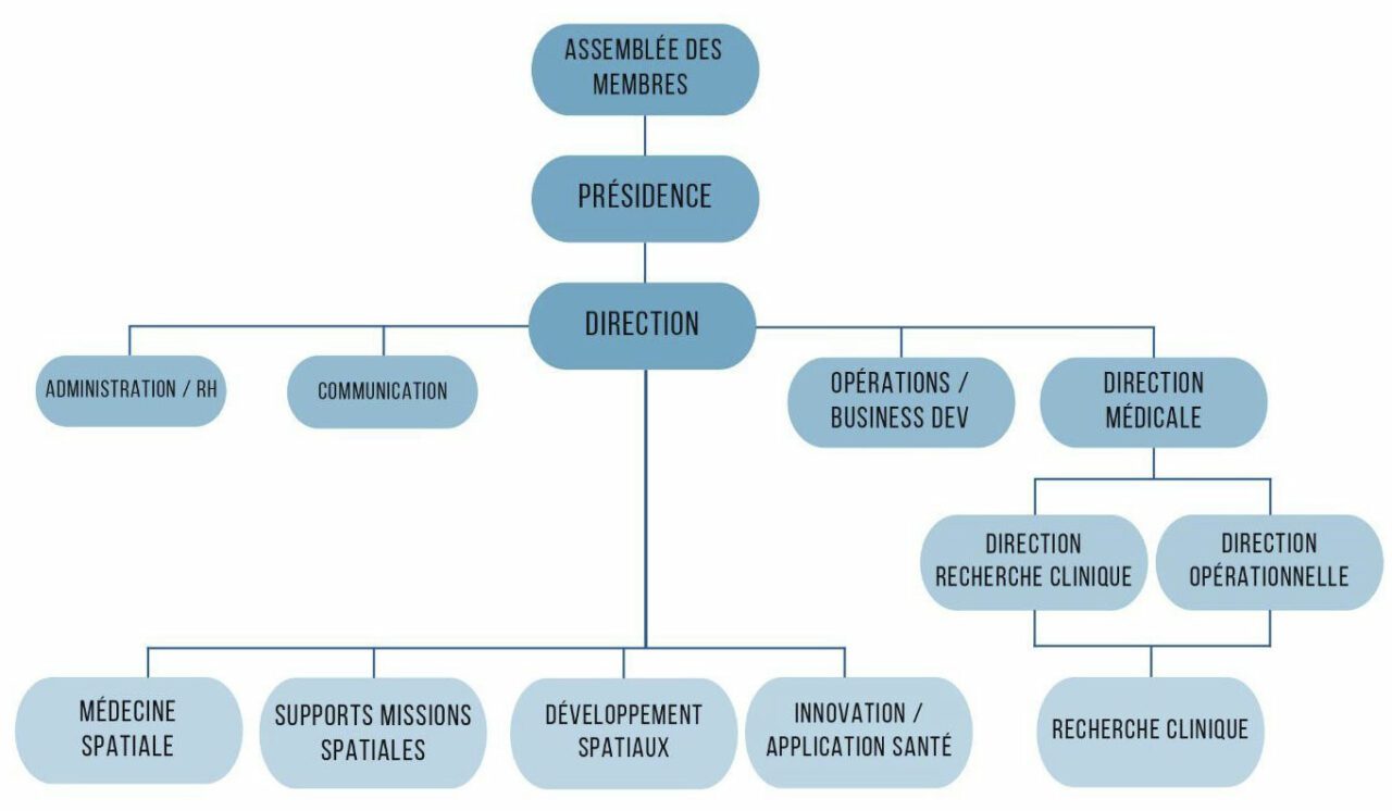Team and governance - Medes
